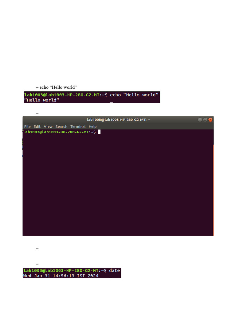 Basic Unix Commands Overview | PDF
