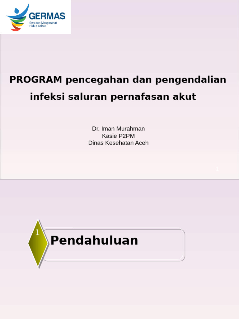 Kebijakan ISPA | PDF