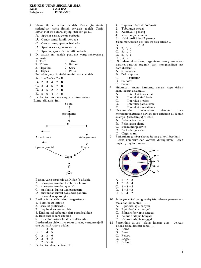 KISI KISI BIO UJIAN SEKOLAH 2024 | PDF