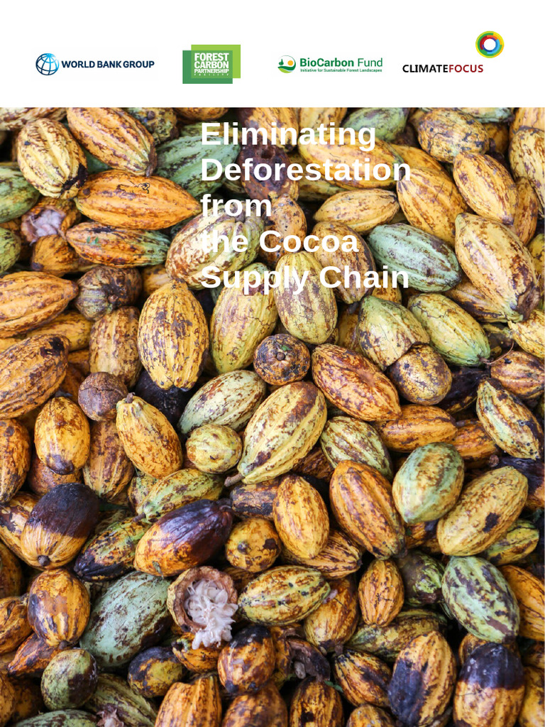 Cocoa Report Green | PDF | Cocoa Bean | Deforestation
