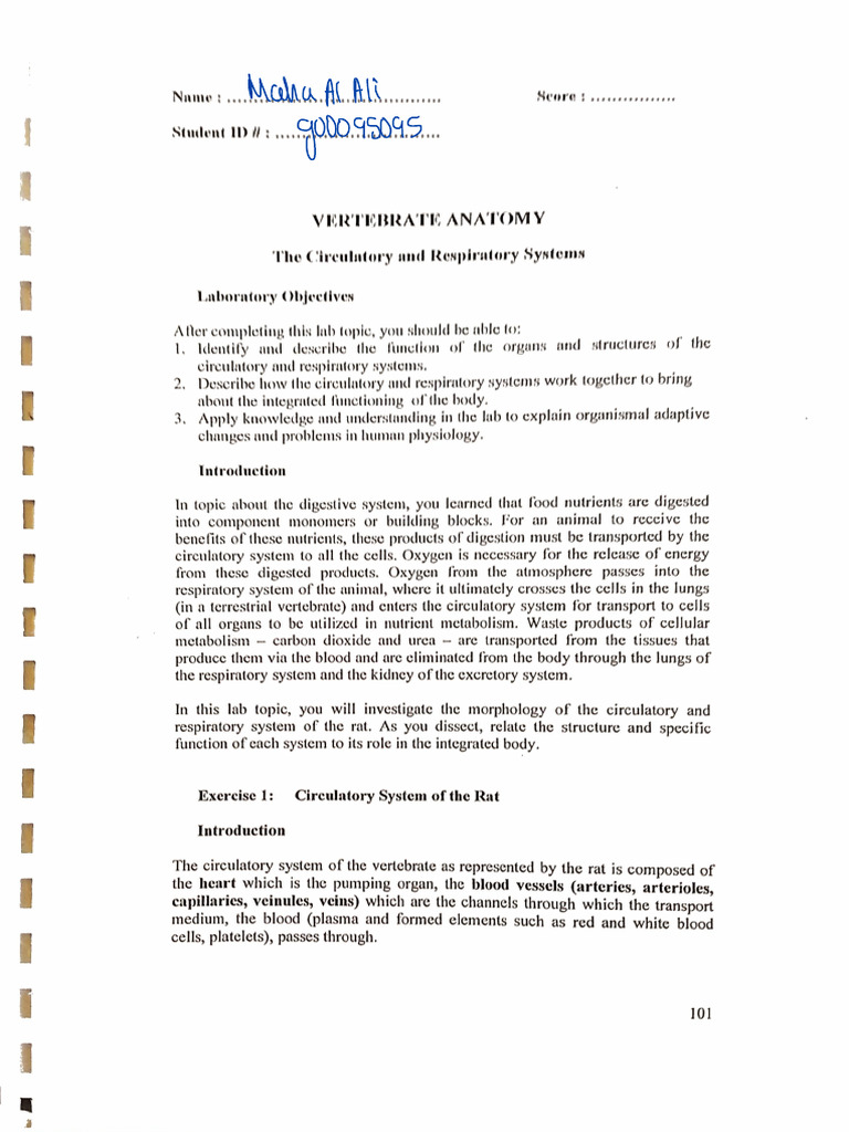 VERTEBRATE ANATOMY The Circulatory and Respiratory System (3) (1) - 1 | PDF