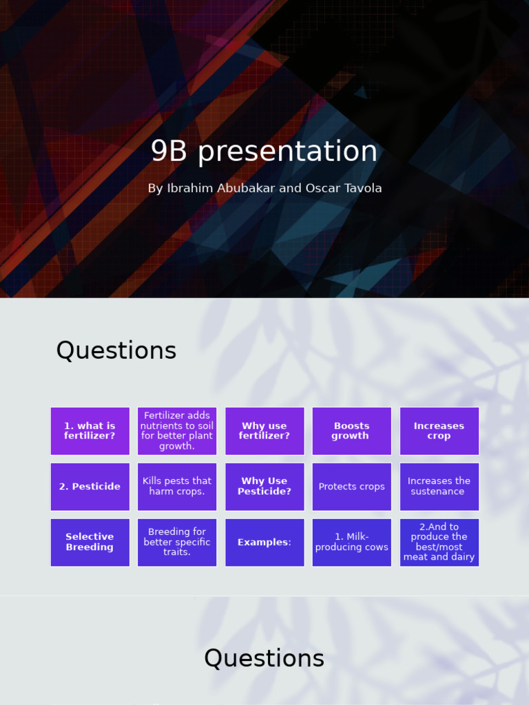 9B Presentation | PDF