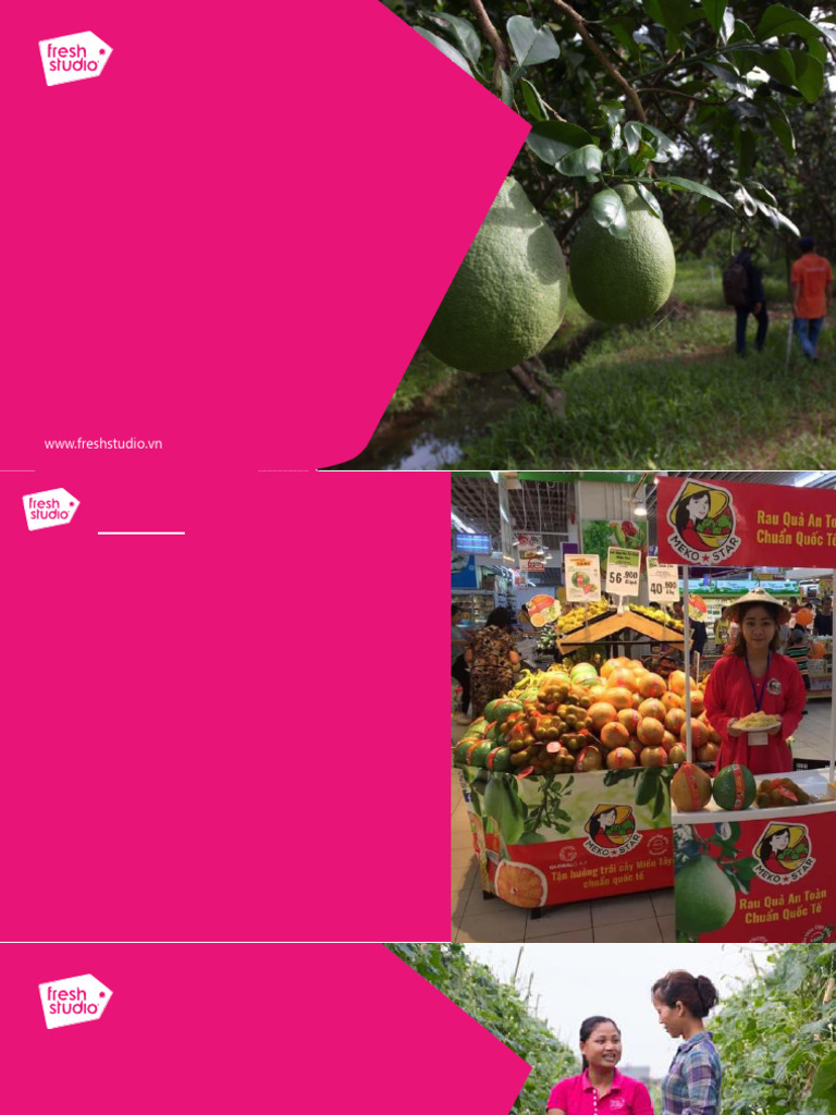 FS_Developing+a+sustainable+fruit+sector+in+the+Mekong+Delta | PDF ...