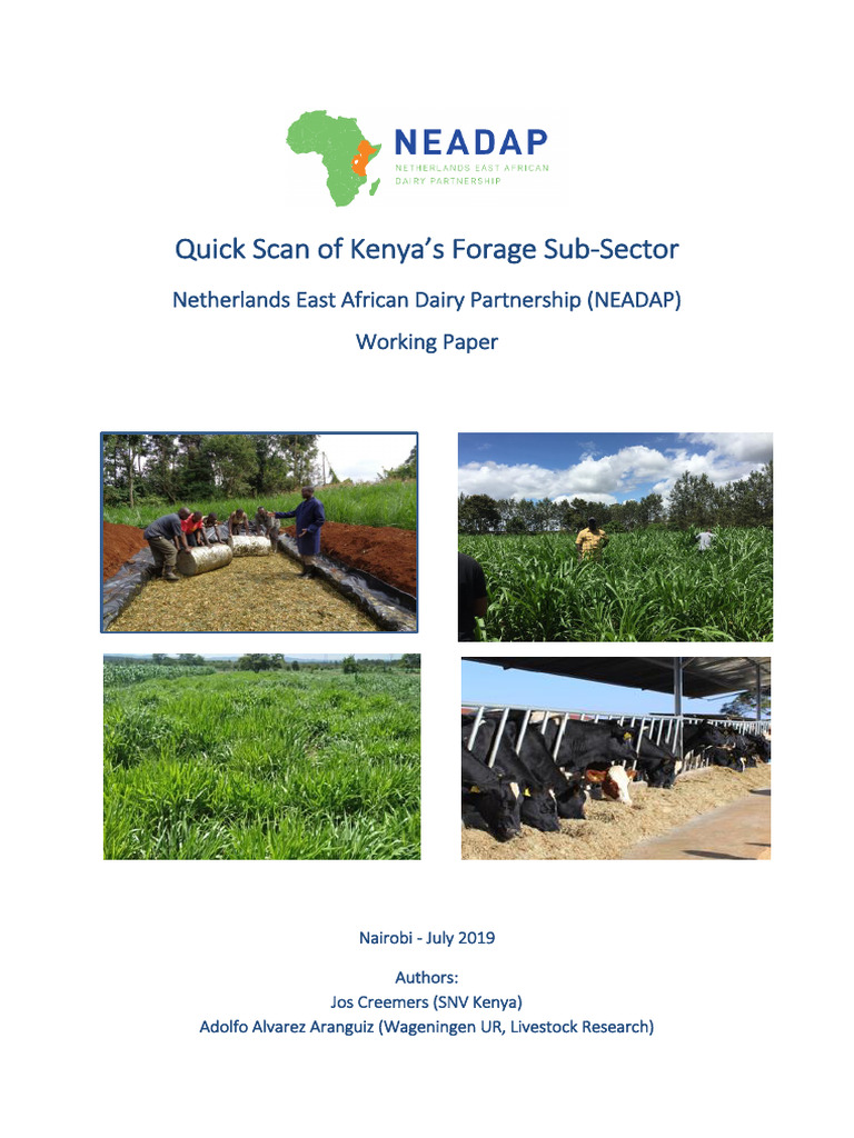 Quick-Scan-of-Kenyas-Forage-Sub-Sector | PDF | Agriculture | Dairy Farming