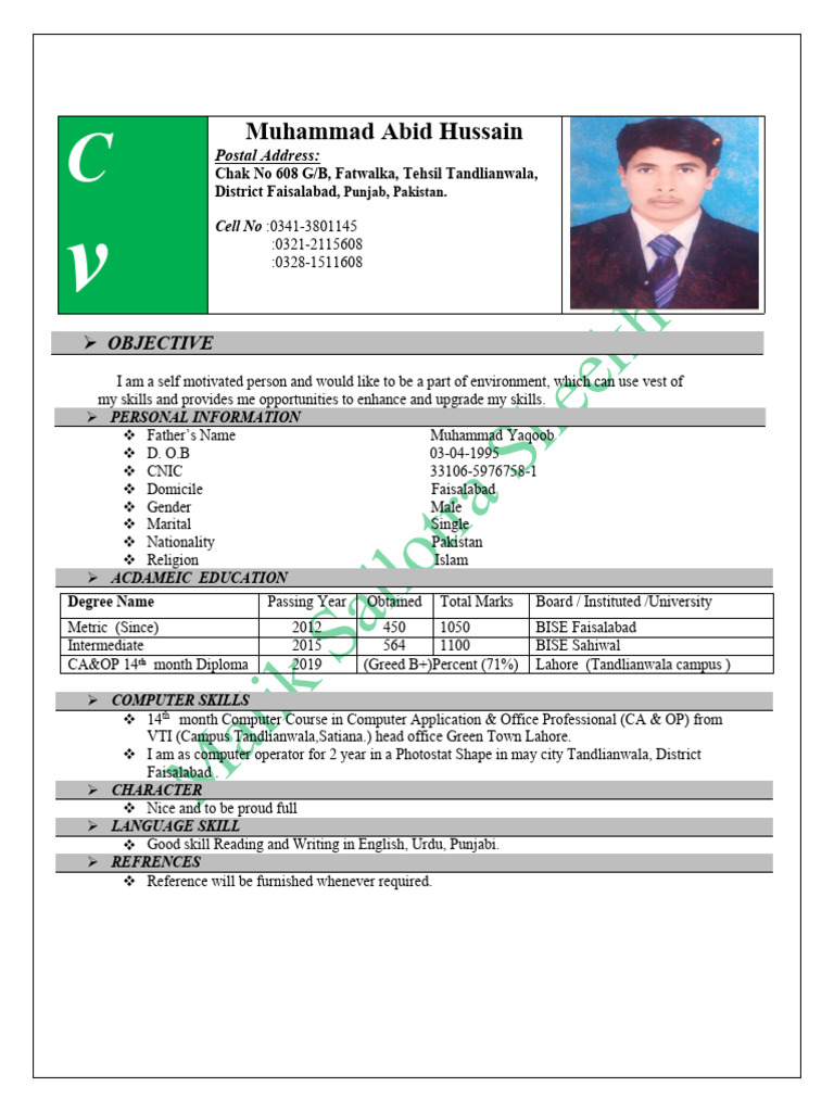 Abid CV | PDF