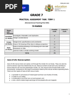 Grade 7 Technology Mini PAT Term 1 | PDF | Pneumatics | Syringe