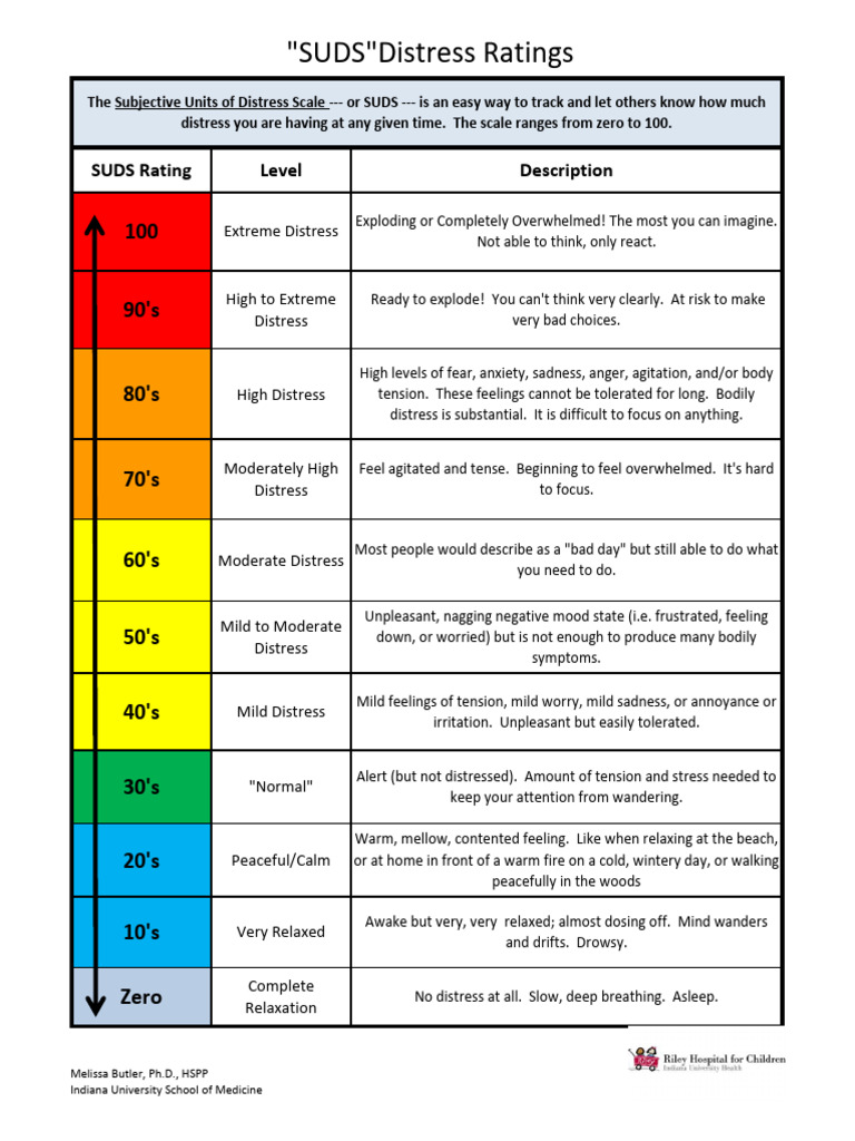 SUDS Scale with descriptions | PDF | Emotions | Subjective Experience