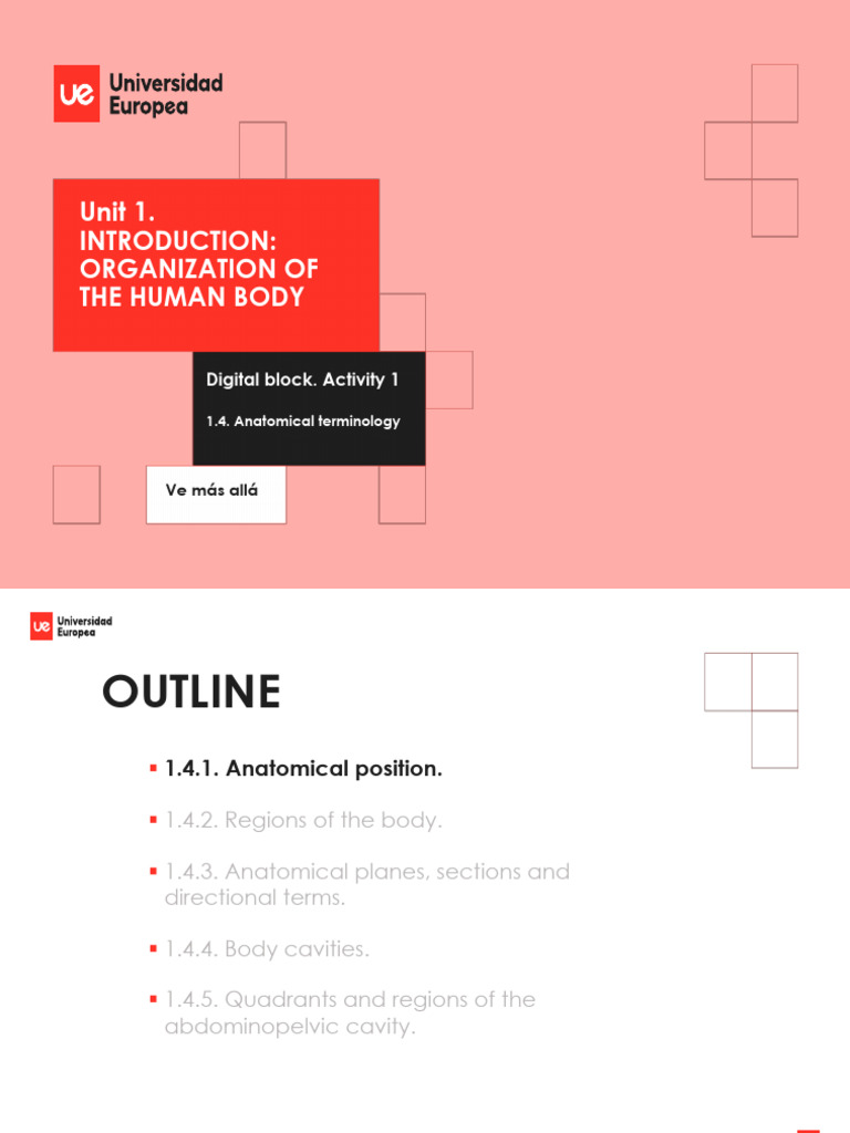 A&P I. Unit 1. Digital Block ANATOMICAL TERMINOLOGY | PDF | Anatomical ...