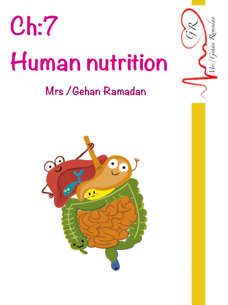 Ch 7 Human Nutrition مبادره خيرية | PDF | Digestion | Stomach