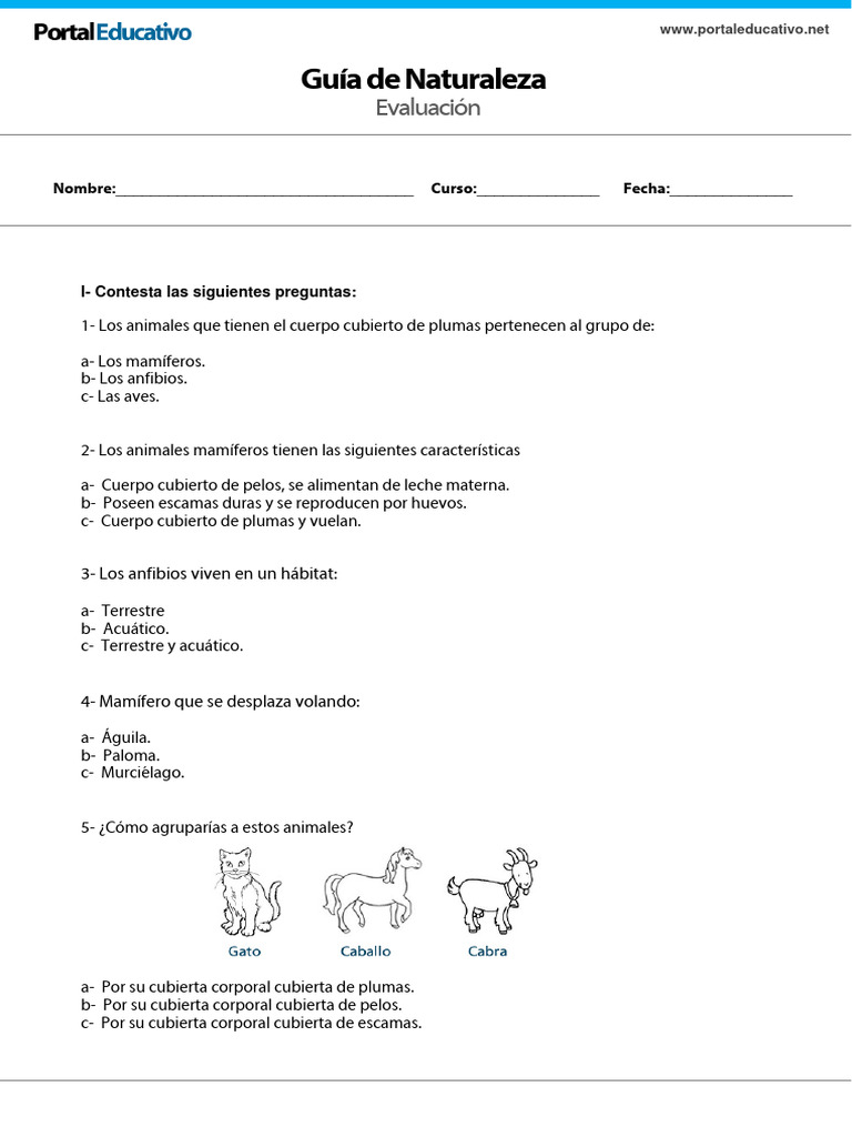 GP1_evaluacion_1 | PDF