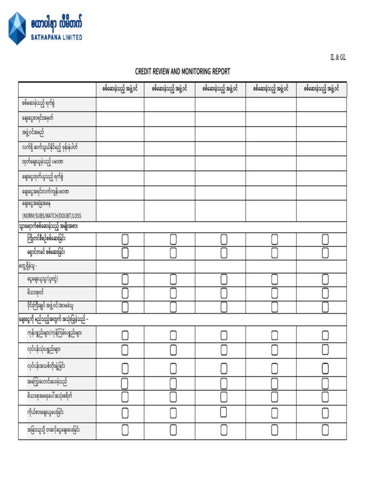 Credit Review and Monitoring Form | PDF