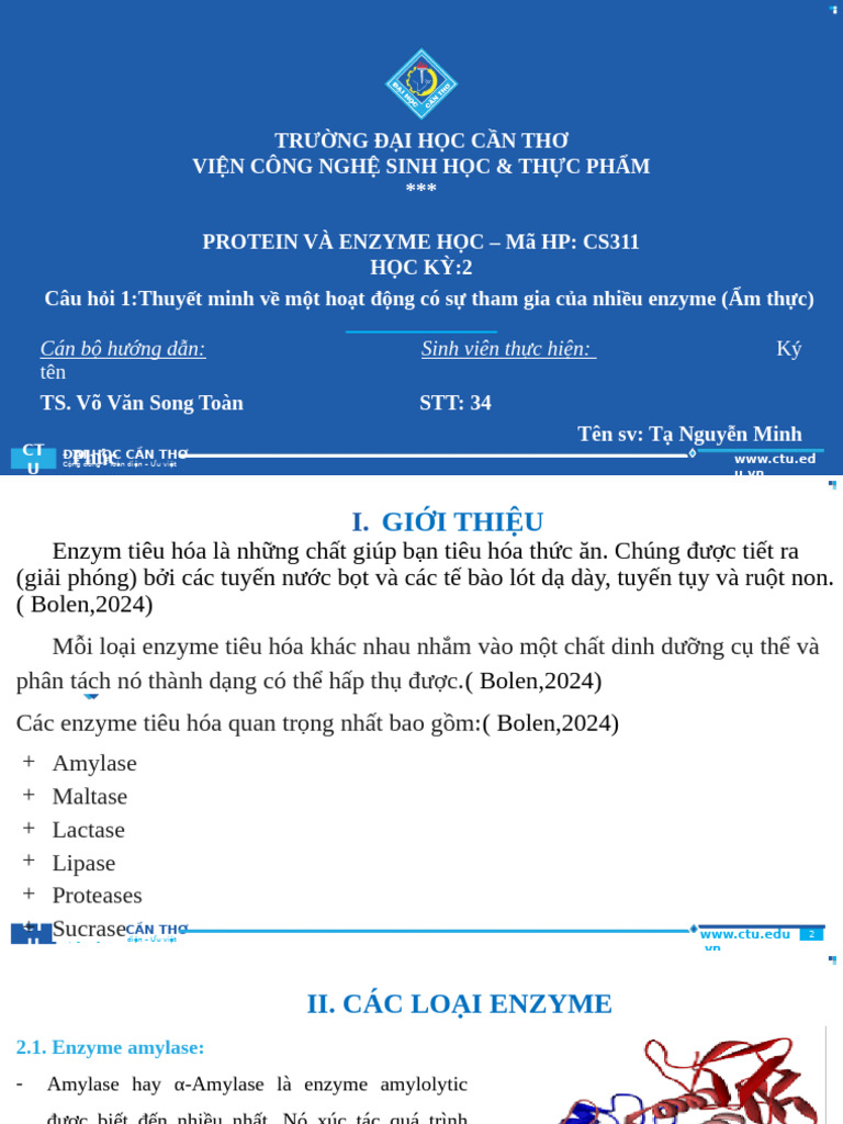 T NG H P Protein - Enzyme 3 | PDF
