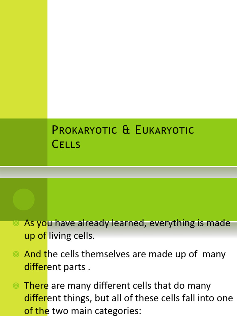 Prokaryotic Eukaryotic Cells | PDF | Cell (Biology) | Prokaryote