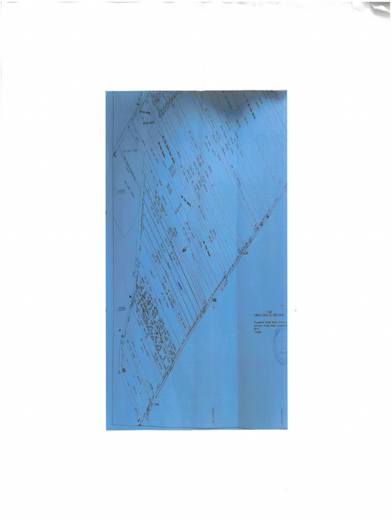 SKM C250i241212130800 | PDF