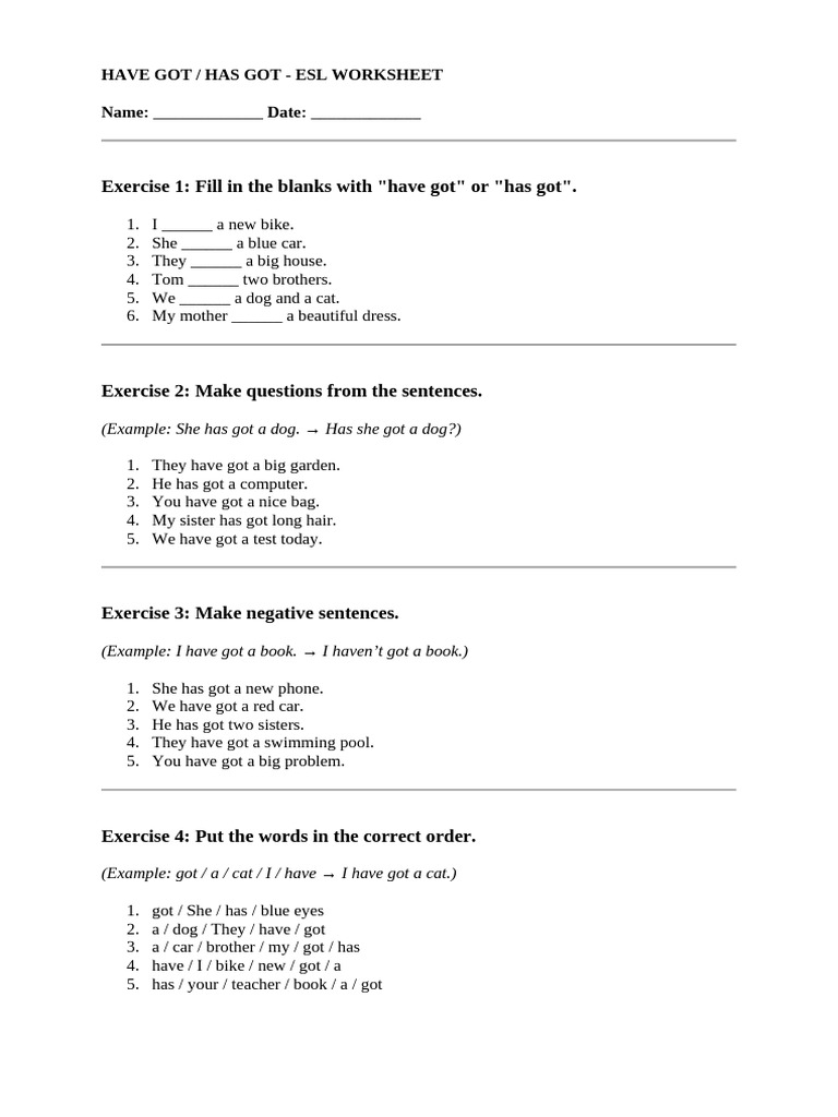 Have Got / Has Got ESL Practice | PDF