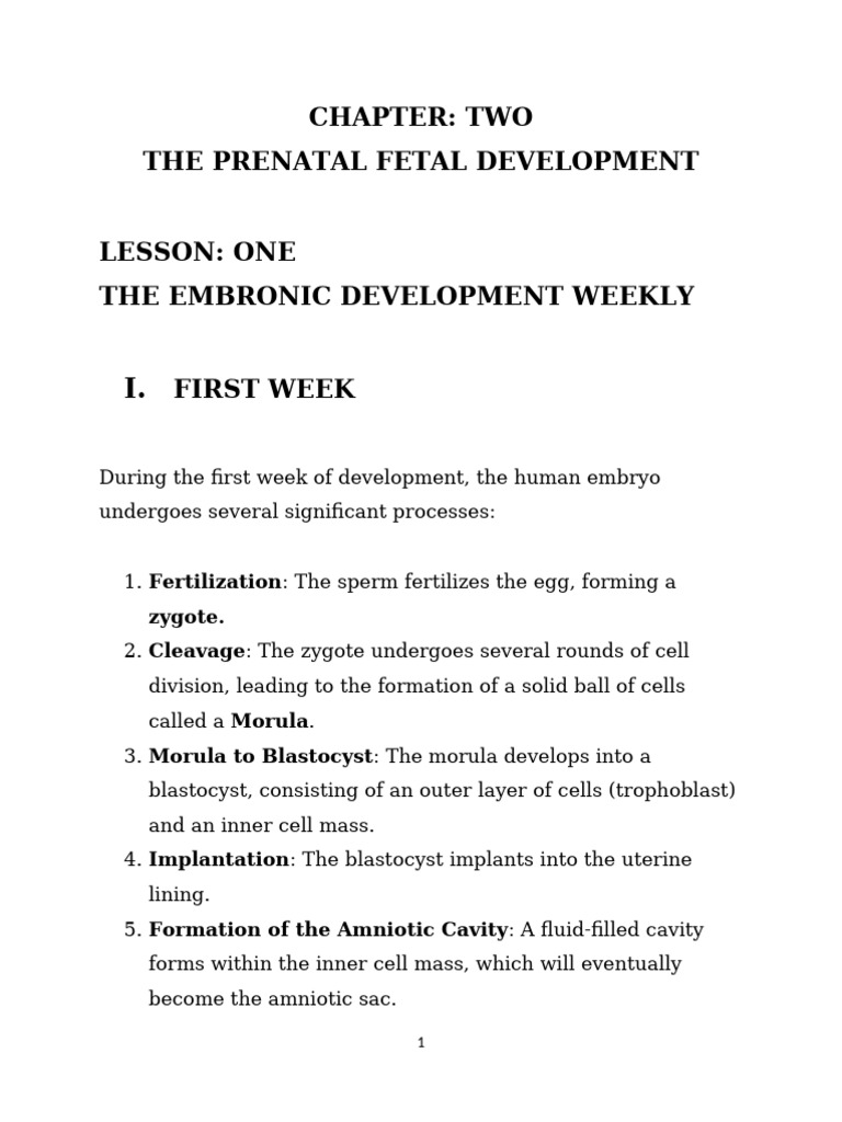 Chapter Two Prenatal Fetal Development | PDF | Anatomy | Developmental Biology