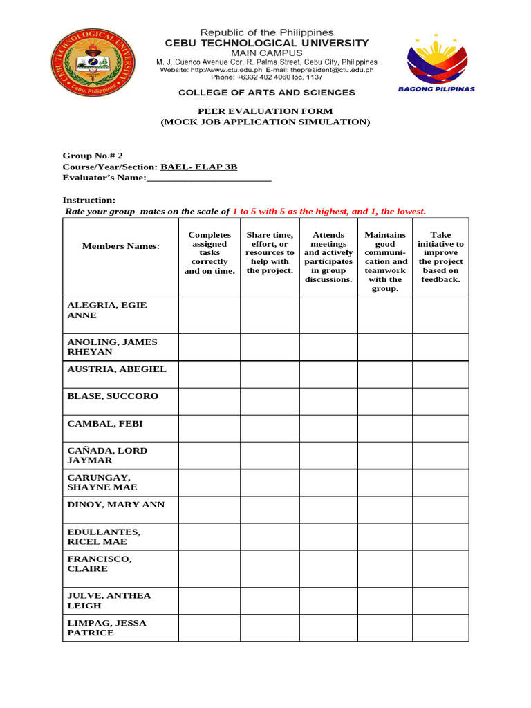 CMC Peer Evaluation Form | PDF