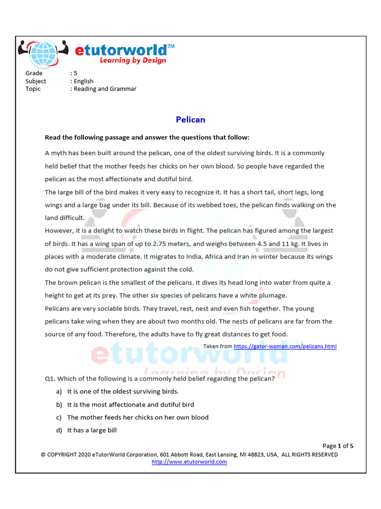 G5 Reading Pelican WS | PDF | Birds | Ornithology