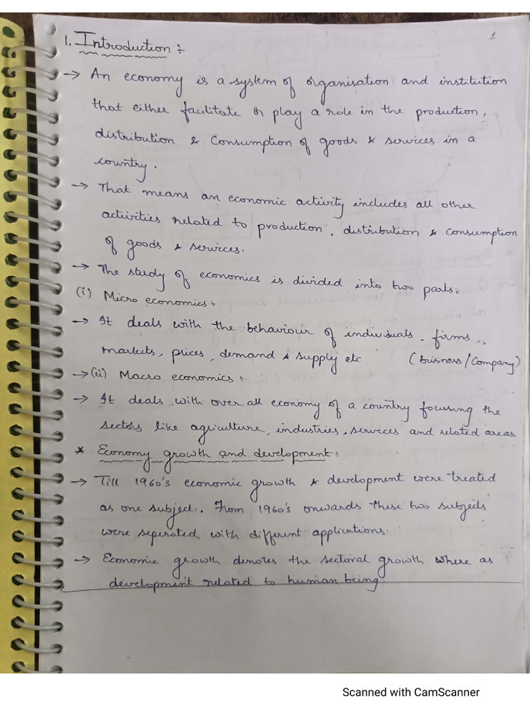 Economy Handwritten Notes | PDF
