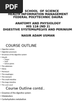 Chapter 11 - Digestive System - Solutions For Class 9 ICSE Concise ...