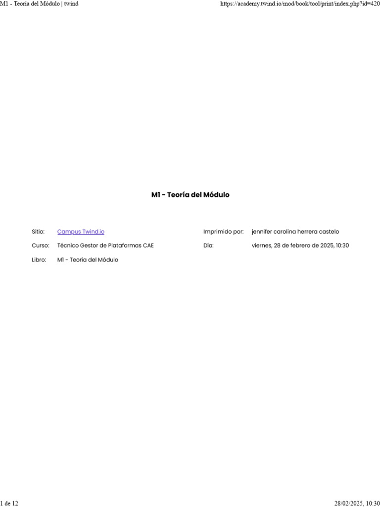 M1 - Teoría Del Módulo - Twind | PDF | Outsourcing