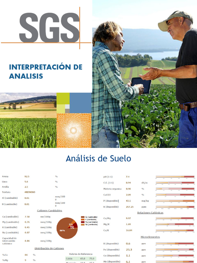 Capacitación en Interpretación de Análisis | PDF | Suelo | Fertilizante