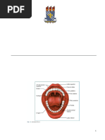 VED - Protocolo Completo | PDF