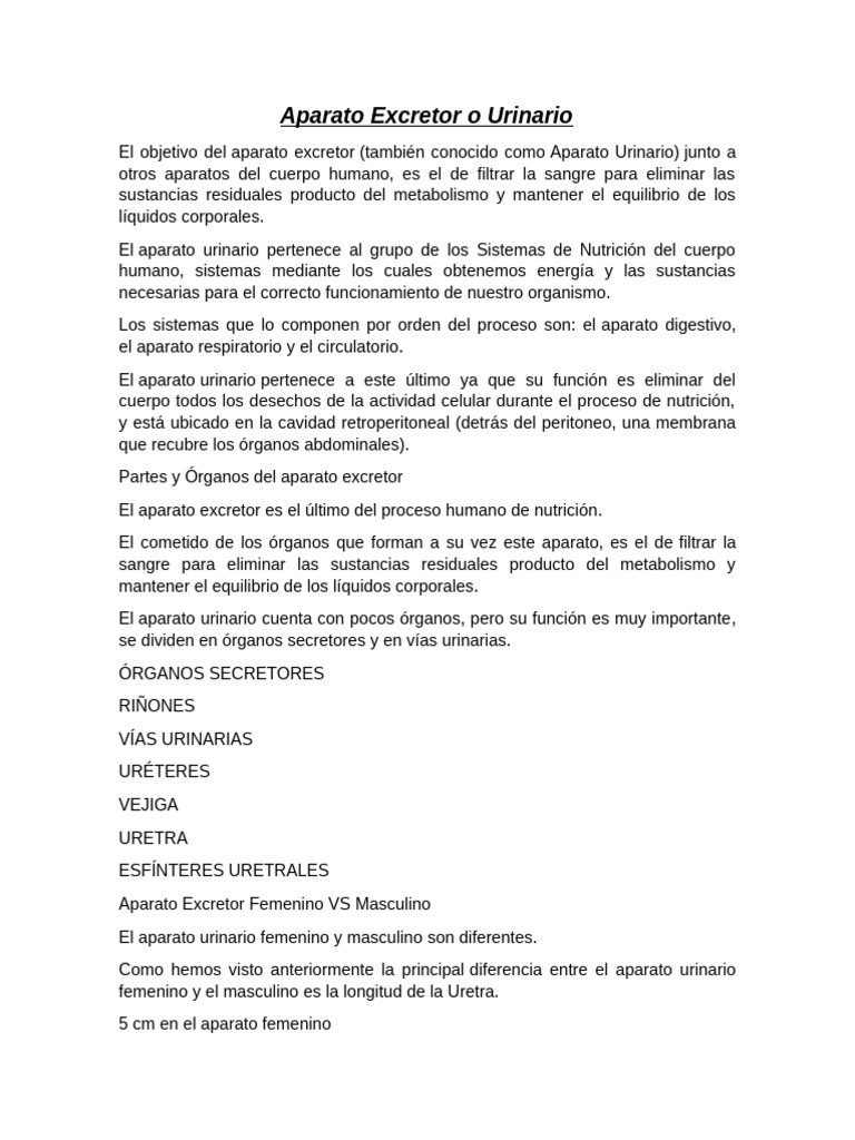 Aparato Excretor o Urinario | PDF | Sistema urinario | Anatomía humana