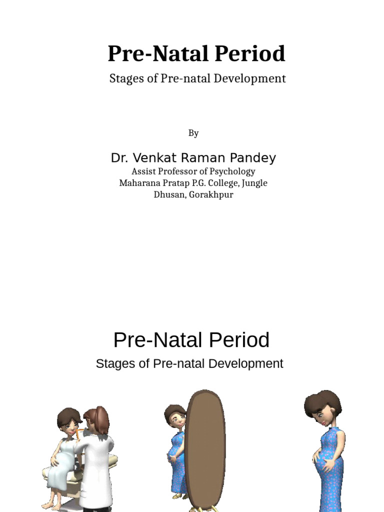Stages of Pre-Natal Development Explained | PDF | Embryo | Fetus