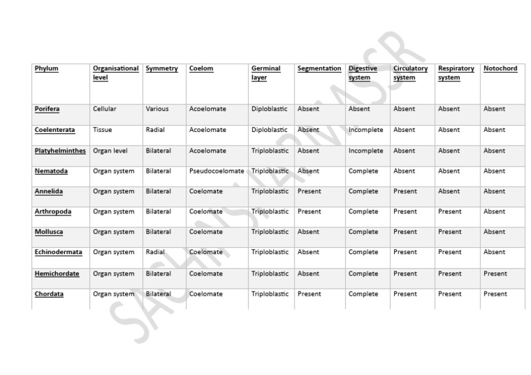 Phylum Table | PDF