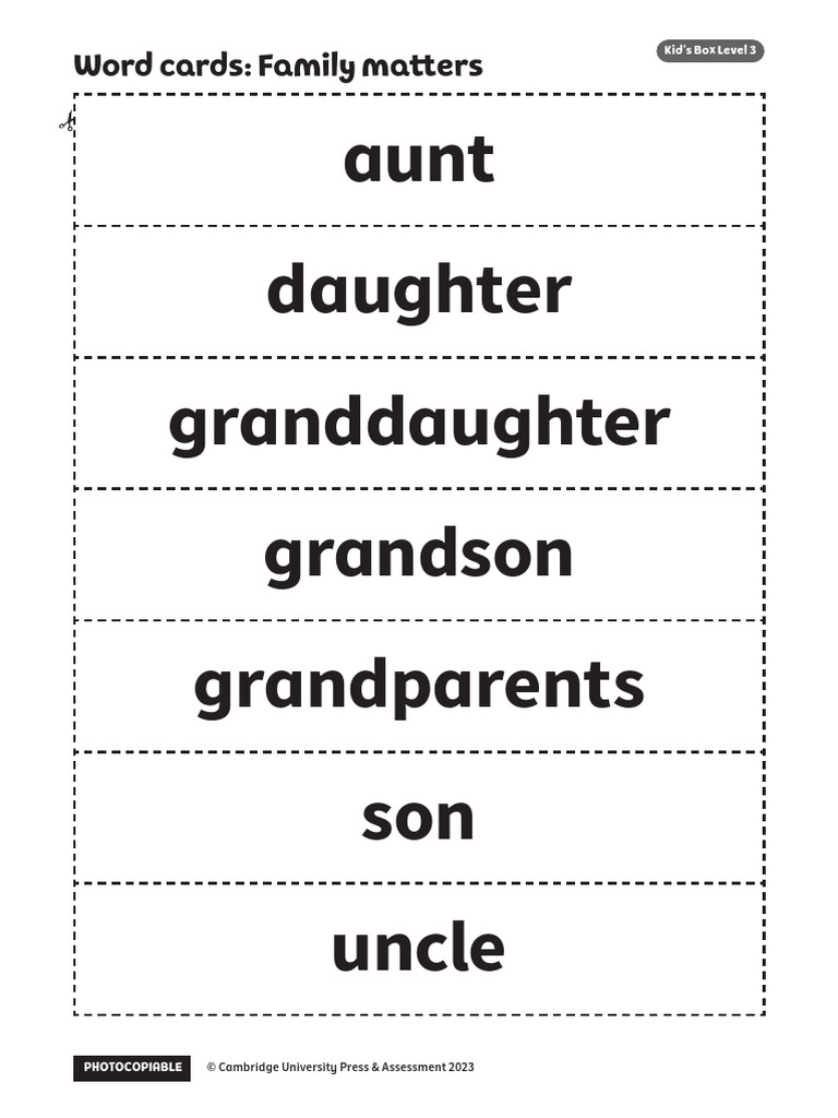KidsBox Level3 Word Cards Unit 1 Family Matters | PDF