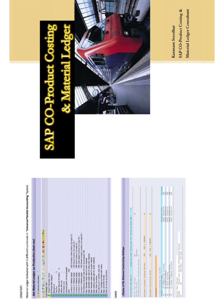 SAP Parallel Accounting | PDF