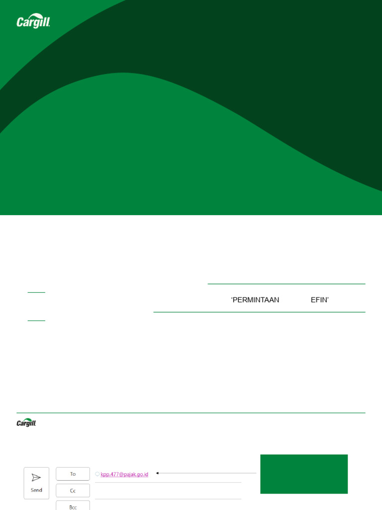 Panduan Permohonan dan Lupa EFIN | PDF