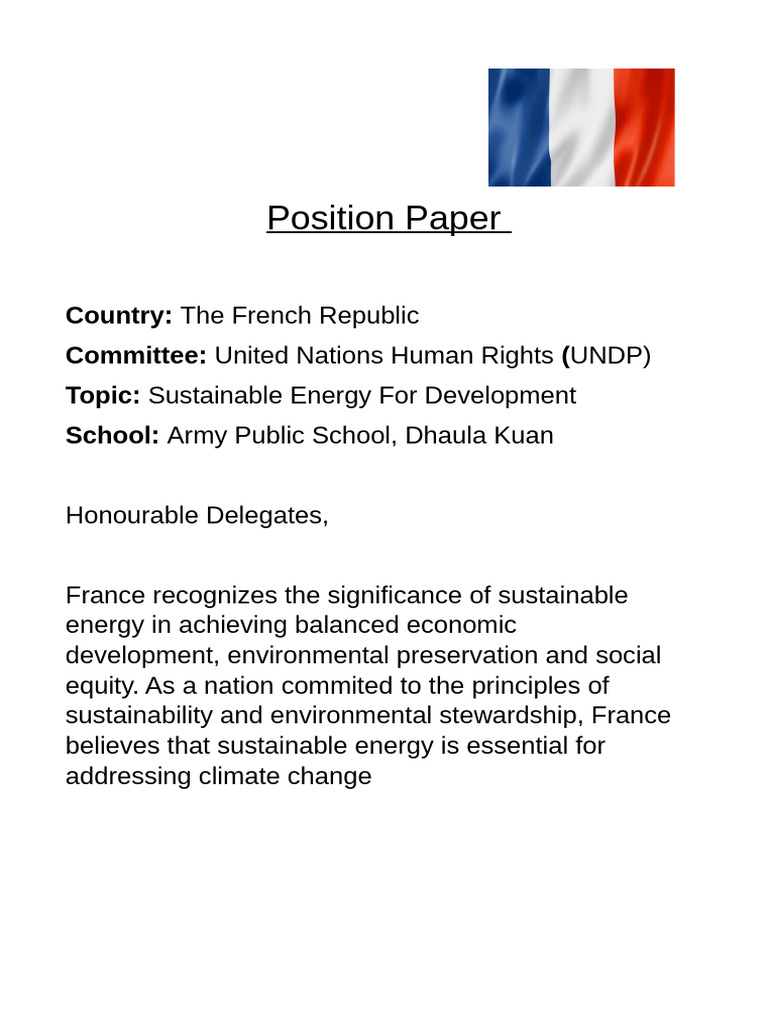 France Position Paper | PDF