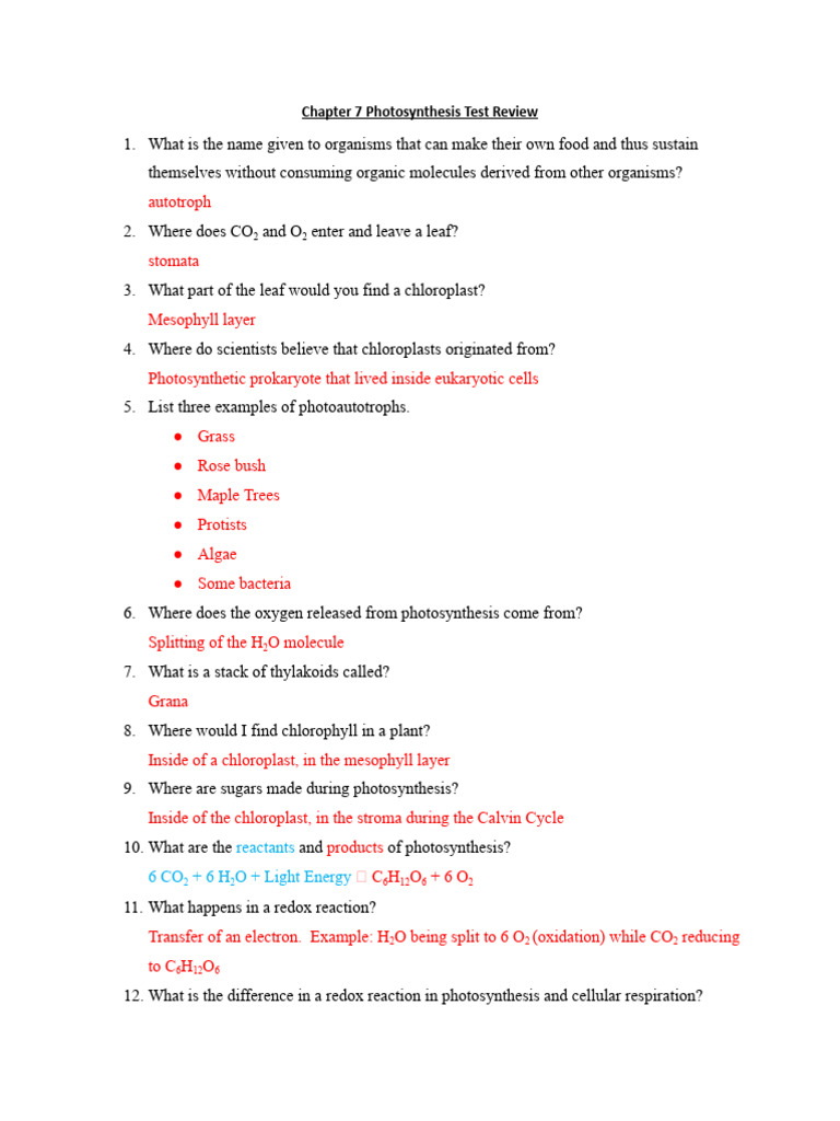 Chapter 7 Photosynthesis Test Review Answer Key | PDF | Photosynthesis ...