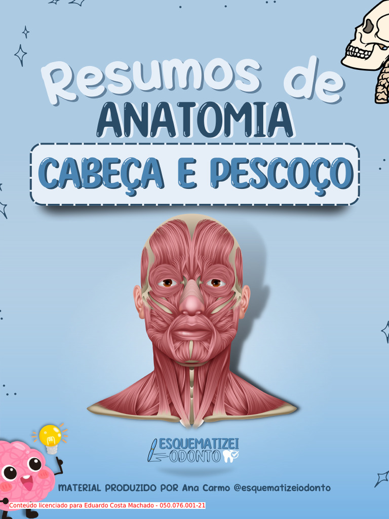 ResumodeAnatomiaCabeaePescoo EOD | PDF