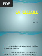 Les Types de Cellules Et Leurs Composants | PDF | Cellule (Biologie) | Cytoplasme