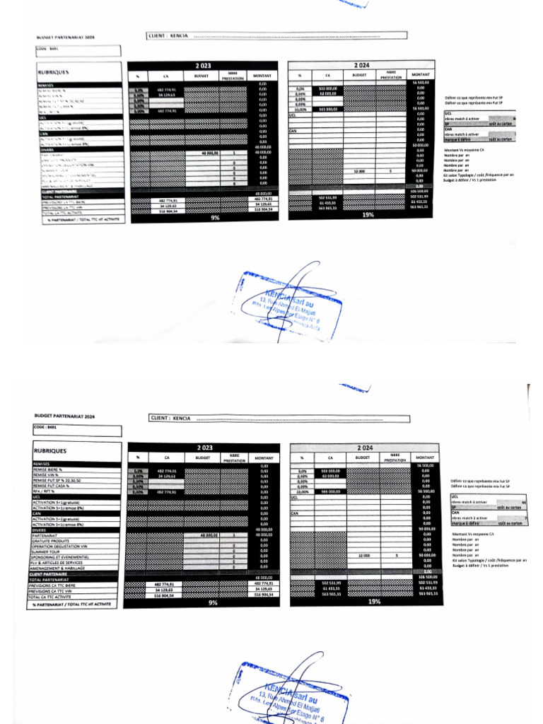 ACE Scanner_2024_05_29(1) | PDF