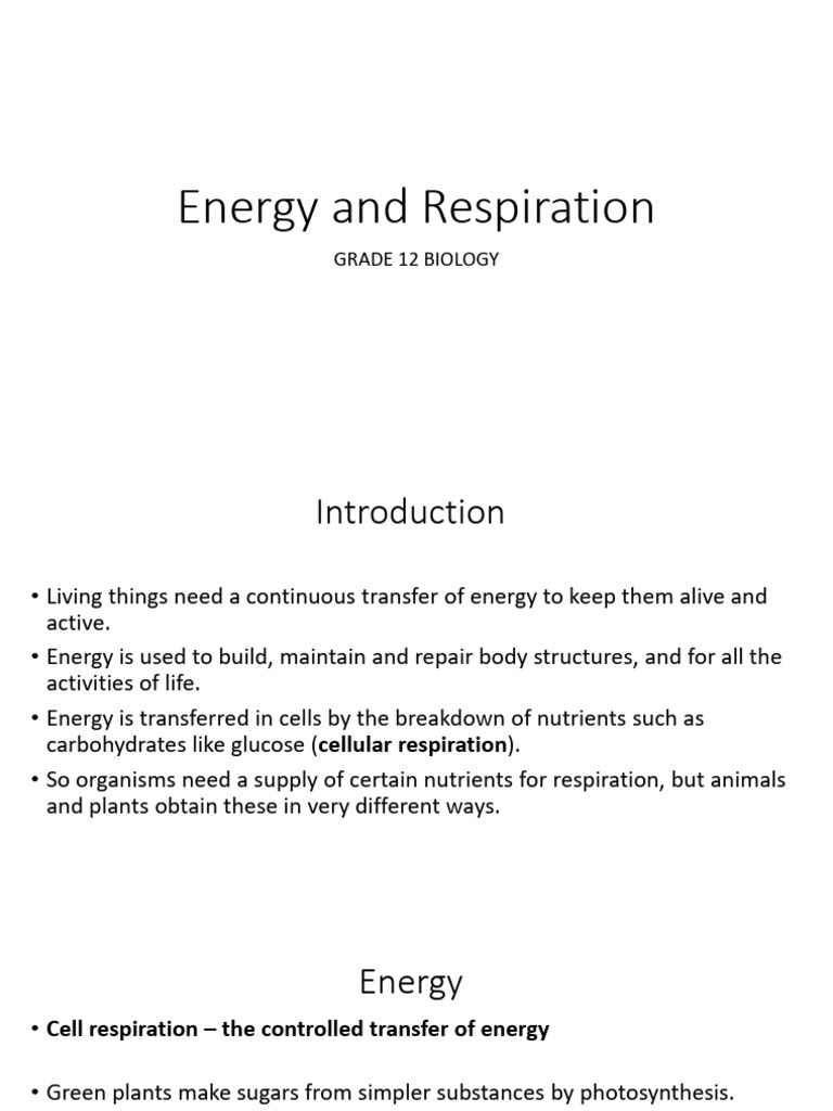 Energy and Respiration Grade 12 | PDF | Cellular Respiration | Glycolysis