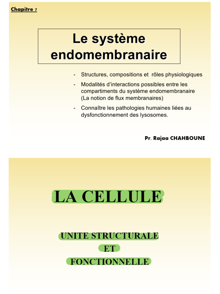 Système endomembranaire et fonctions cellulaires | PDF | Réticulum ...