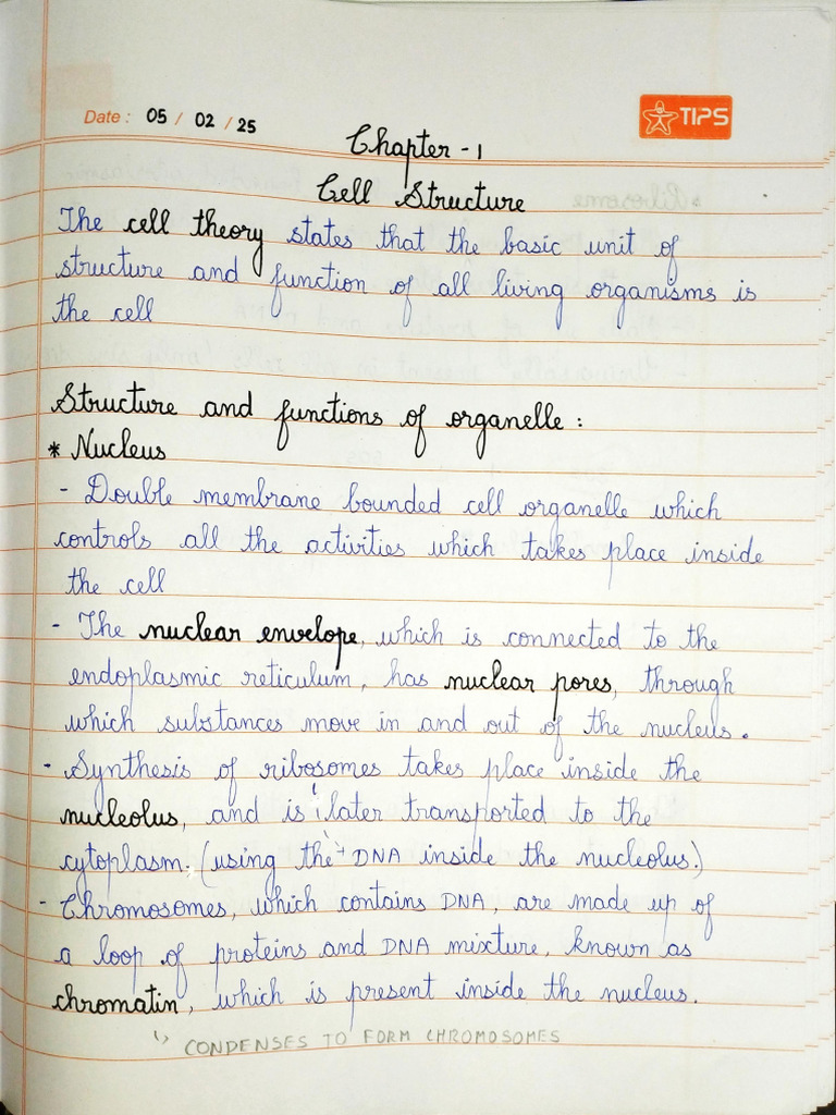 Cell Structure Notes_Biology_AS Level_Dhiya P | PDF