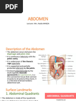 Anatomy and Physiology of the Umbilicus | PDF | Abdomen | Vein