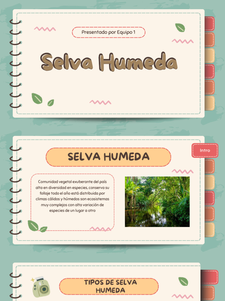 Selva Humeda PDF | PDF | Selva | Ecología