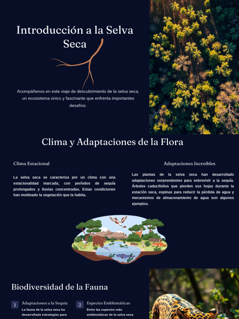Introduccion A La Selva Seca (2) .PPTX 080559 | PDF | Deforestación | Selva