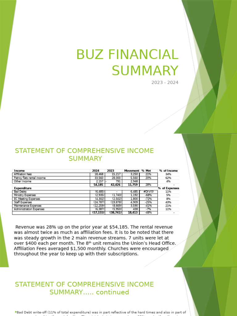 BUZ Financial Summary 2023-2024 Report | PDF | Expense | Budget