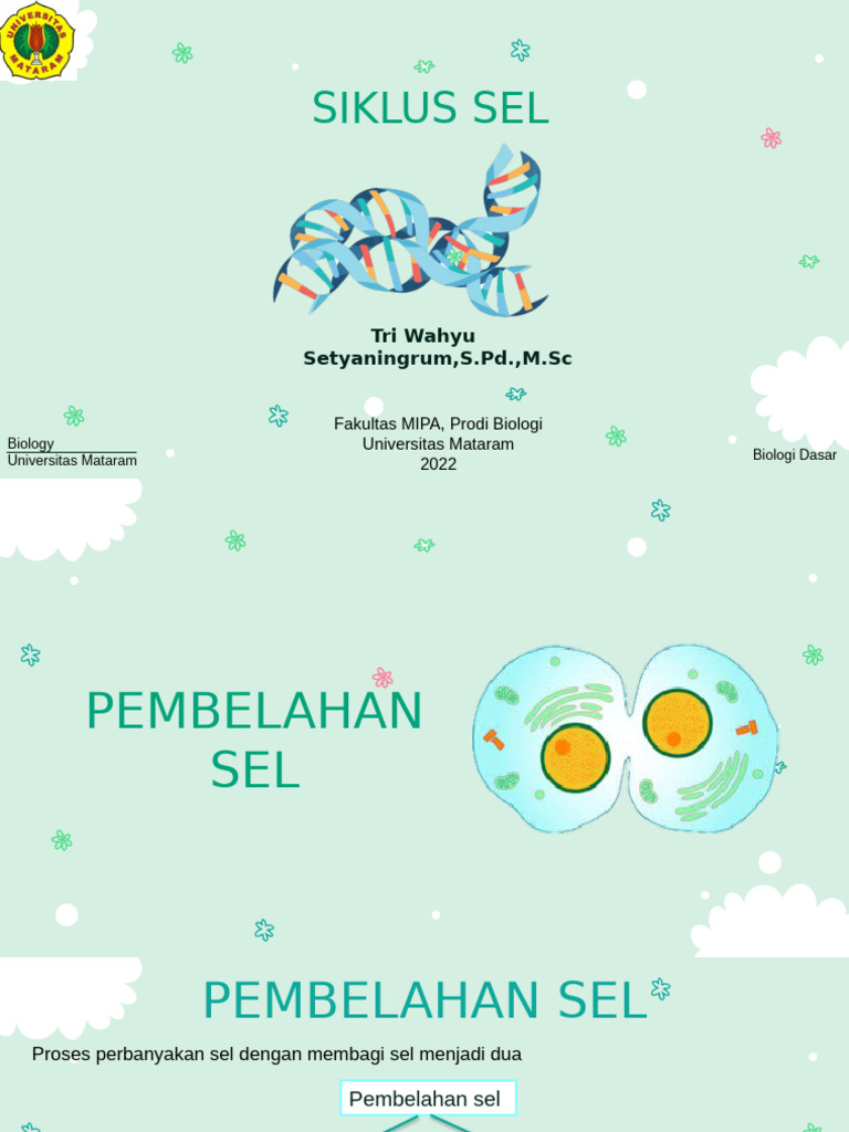 Siklus Sel Edit | PDF