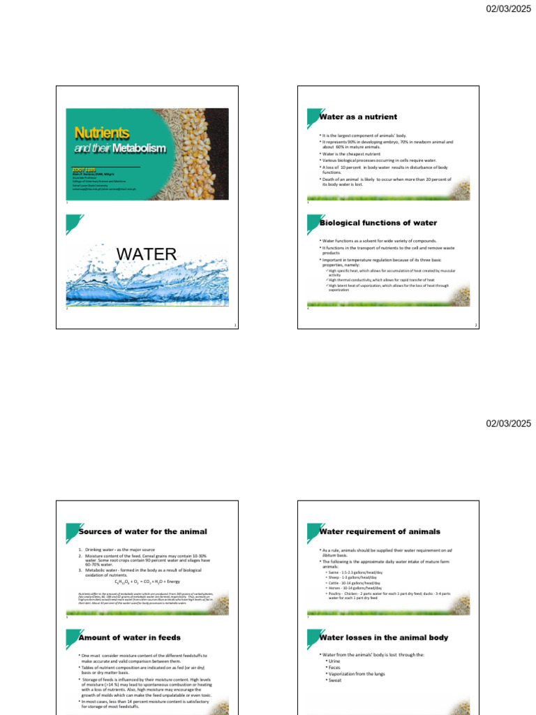 Water and Carbohydrates | PDF | Carbohydrates | Digestion