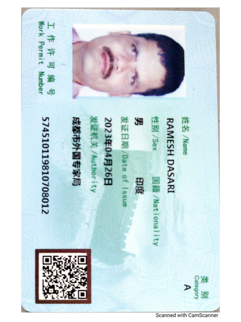 Work Permit Card | PDF