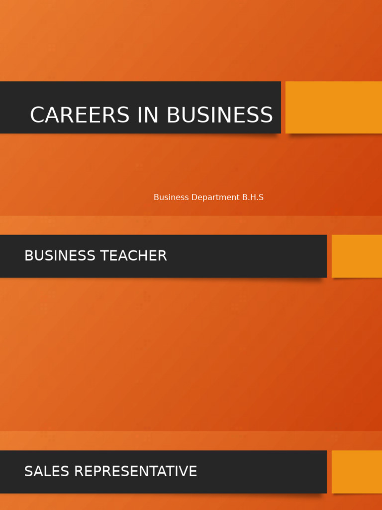 Business Careers Overview and Roles | PDF