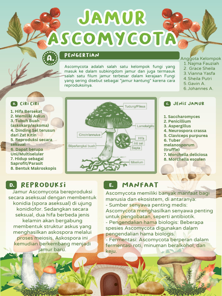 Jamur Ascomycota - 20241107 - 131737 - 0000 | PDF